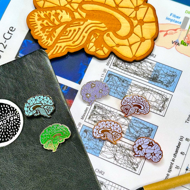 Neuroscience Collection — Two Photon